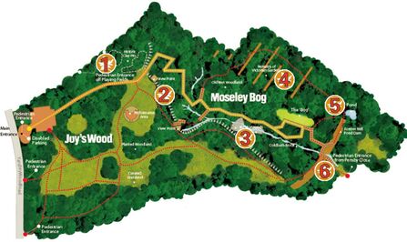 Discover and Explore Moseley Bog | Birmingham & Black Country Wildlife Trust
